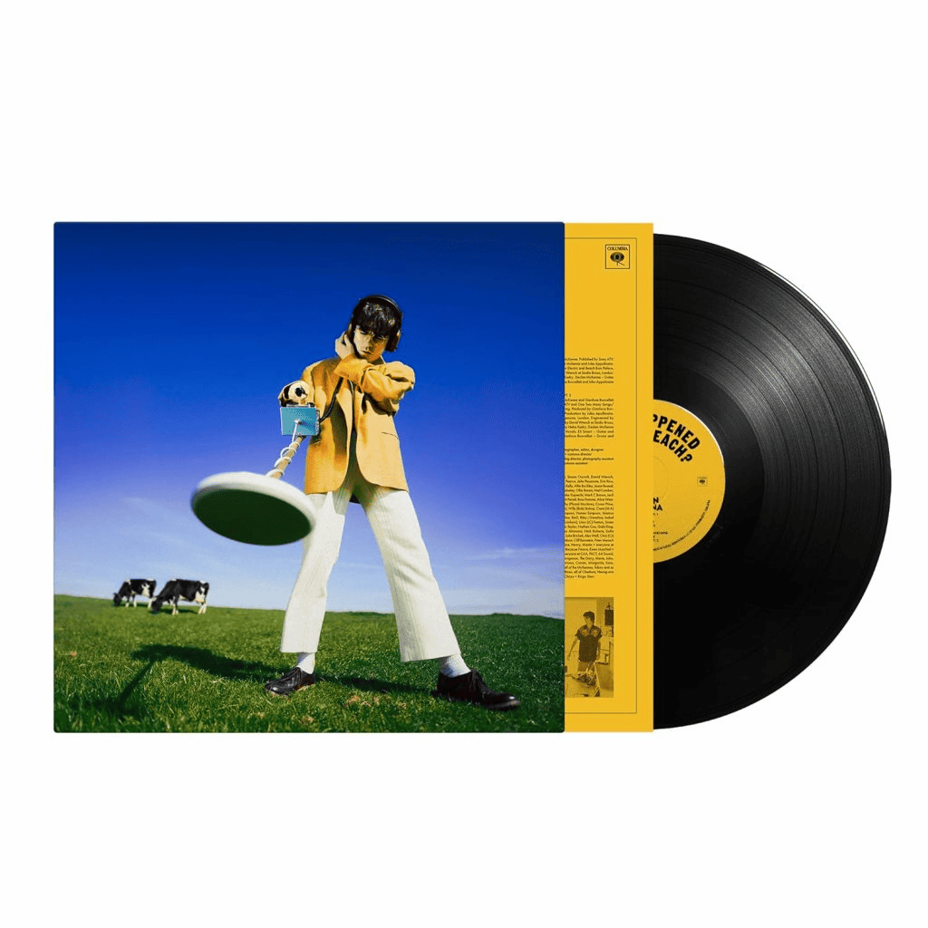 DECLAN MCKENNA - What Happened to the Beach? Vinyl – JWrayRecords