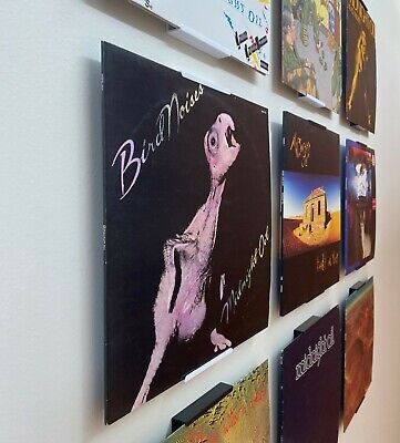 VINYLRAX - Vinyl Album Art Display Brackets (BLACK) – JWrayRecords