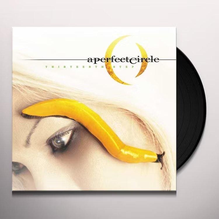 Thirteenth Step Vinyl | JWrayRecords